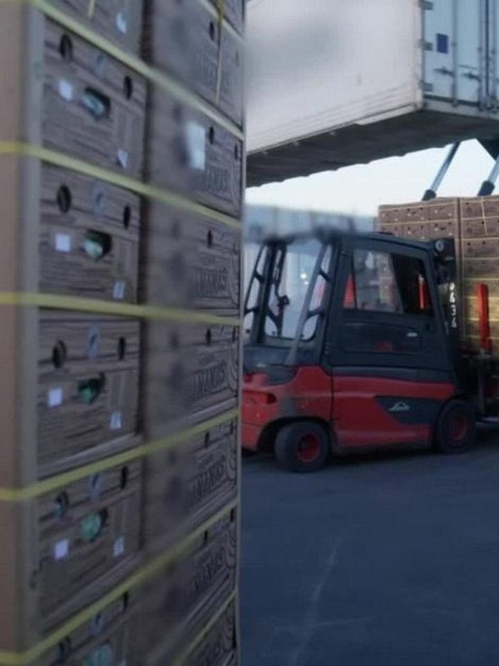 Dock Workers and Drug Cartels - A Dangerous Collaboration